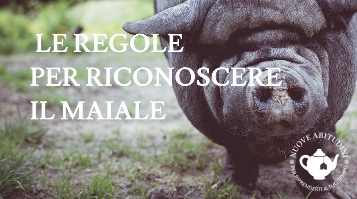 Le regole per riconoscere il maiale – Nuove Abitudini